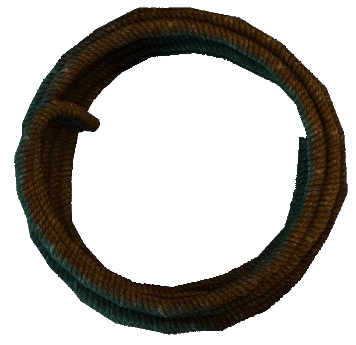 Rope (Dreamfall Chapters) | TLJwiki | Fandom