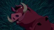 Pumba | Król Lew Wiki | Fandom