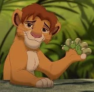 Simba | Król Lew Wiki | Fandom
