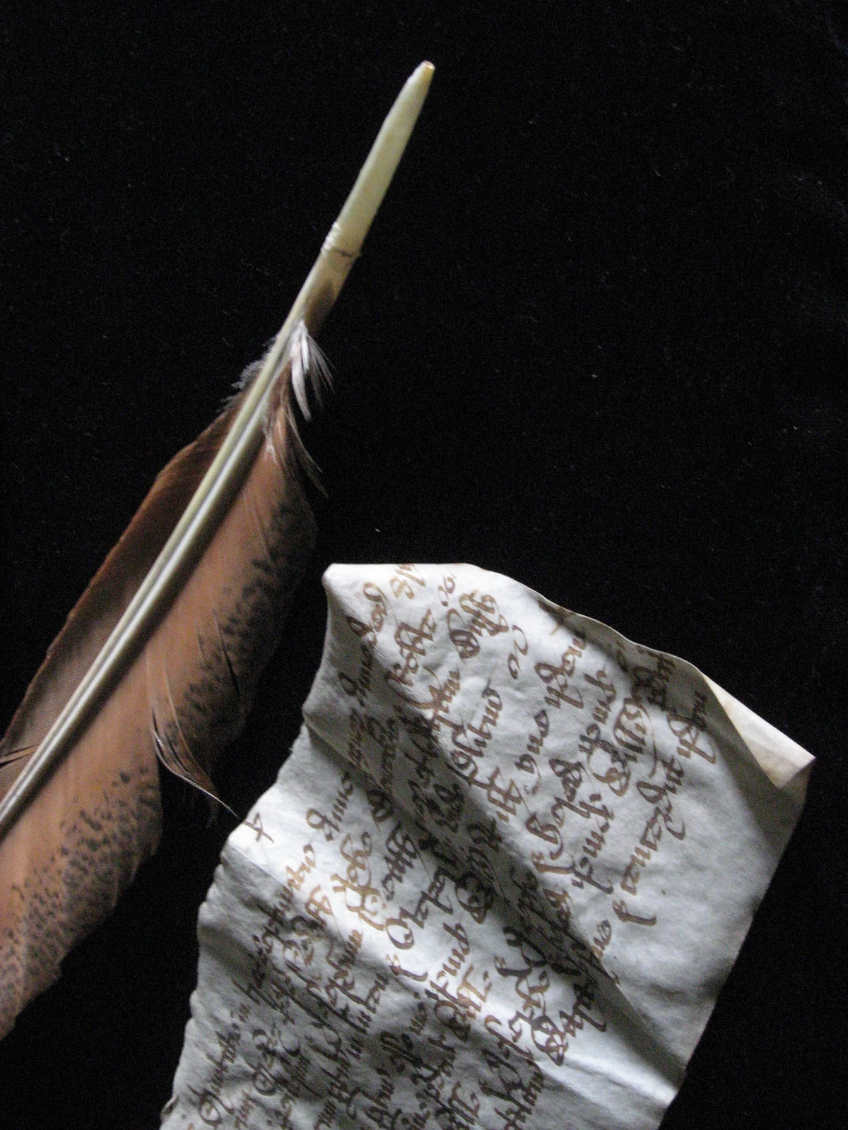 Anomaly-003 | TLO Wiki | Fandom