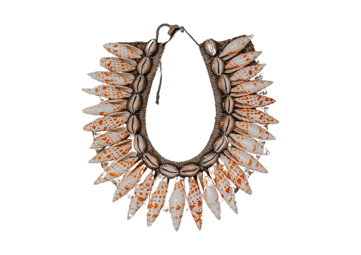 Immunity Necklace | TM ORGS Wiki | Fandom