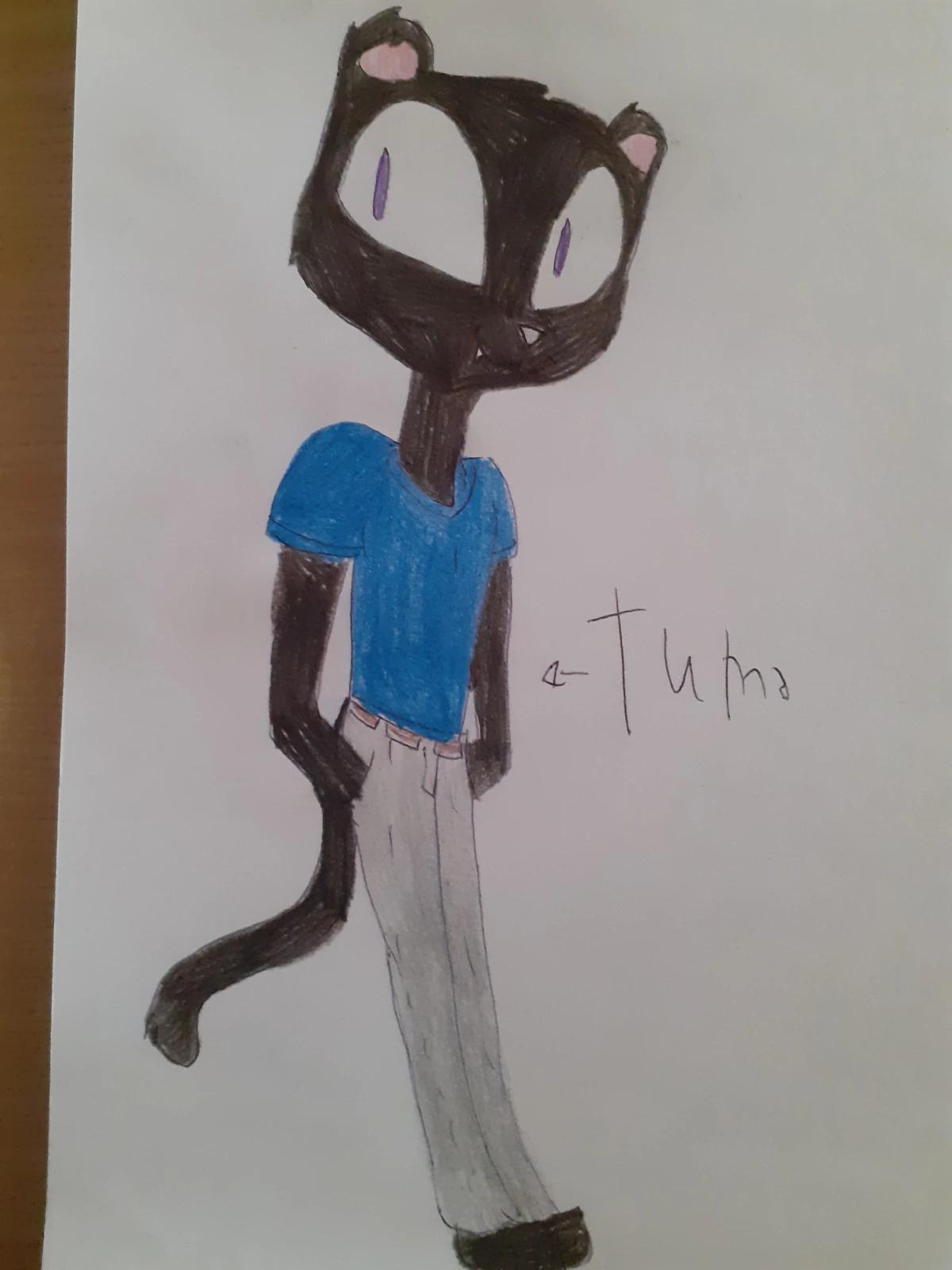 Tuma | Tiny Magimons Adventures Wiki | Fandom