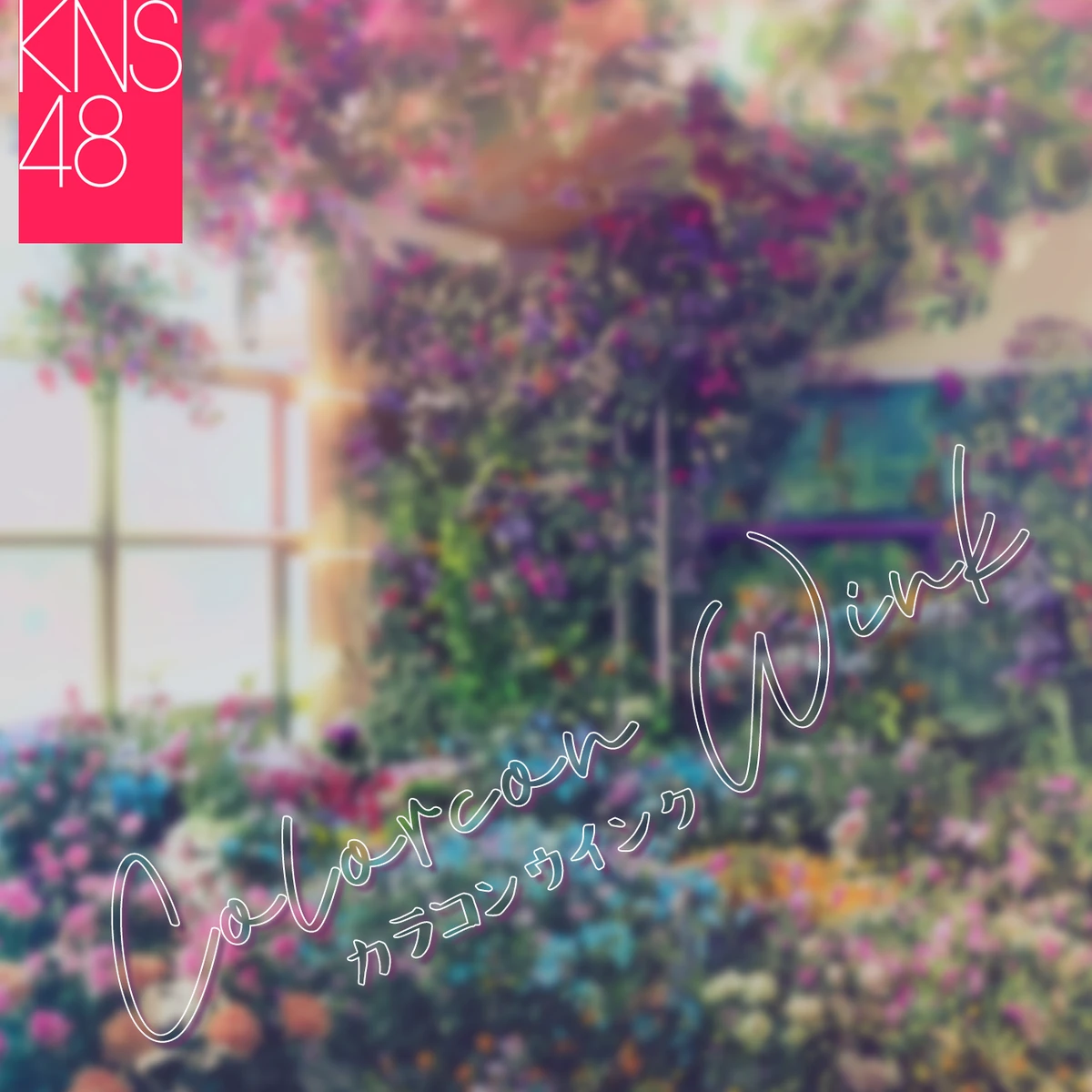 Colorcon Wink (song) | TMA Wiki | Fandom