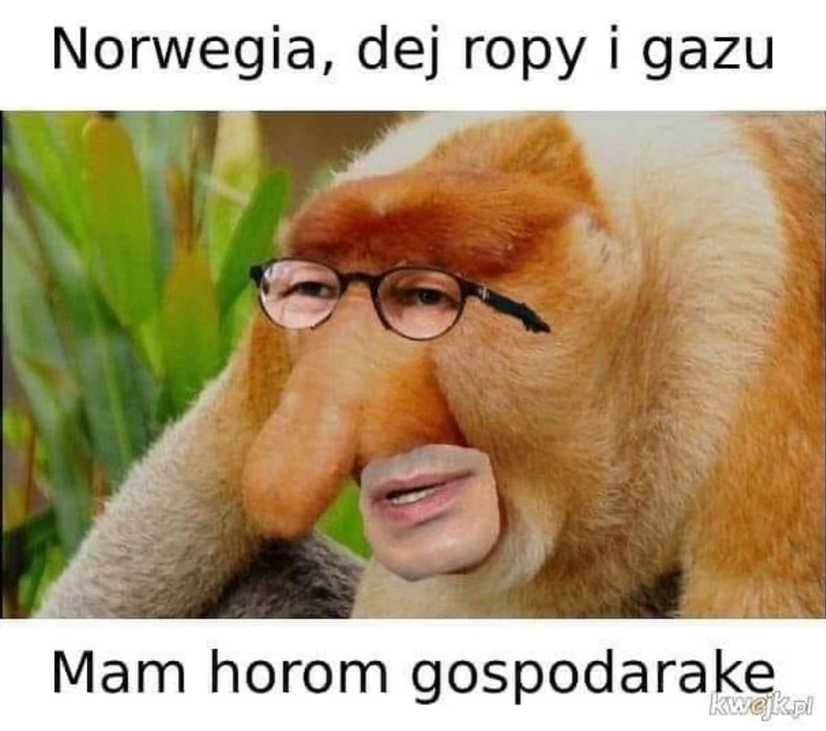 Test123 | TMC Wiki | Fandom