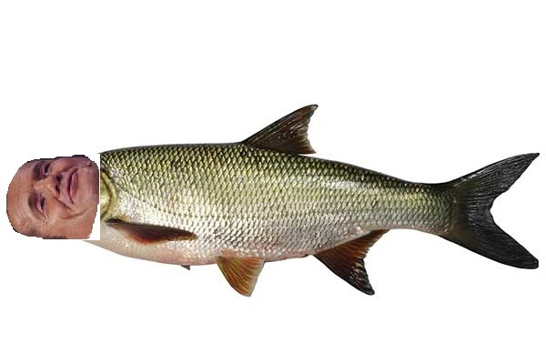 Dieter Boleń | TMC Wiki | Fandom