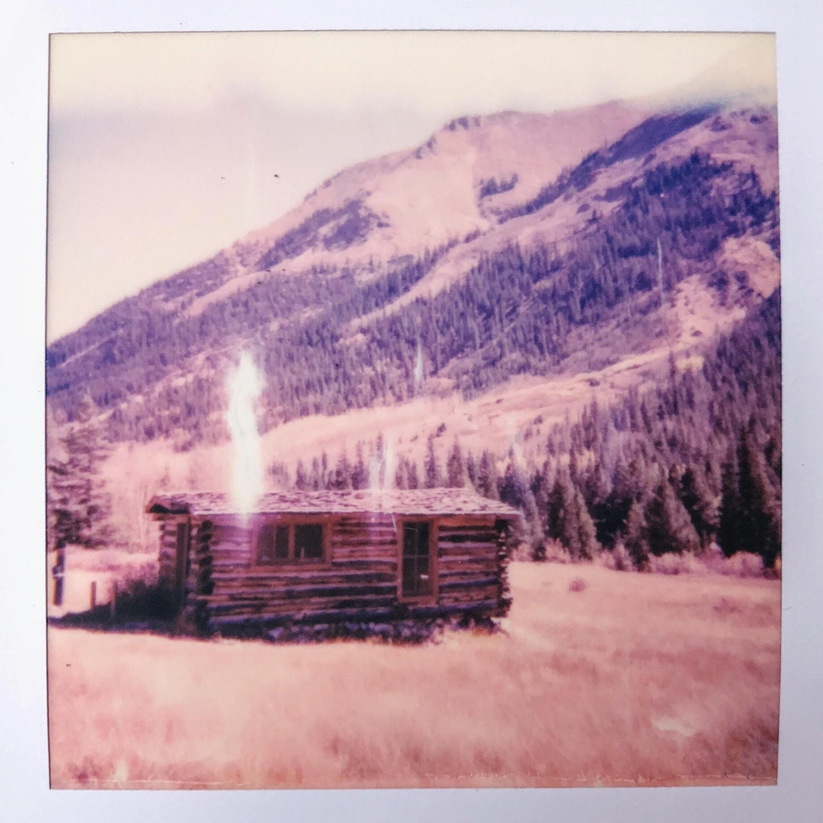 Peace & Love | TMNG Comp Universe Wiki | Fandom