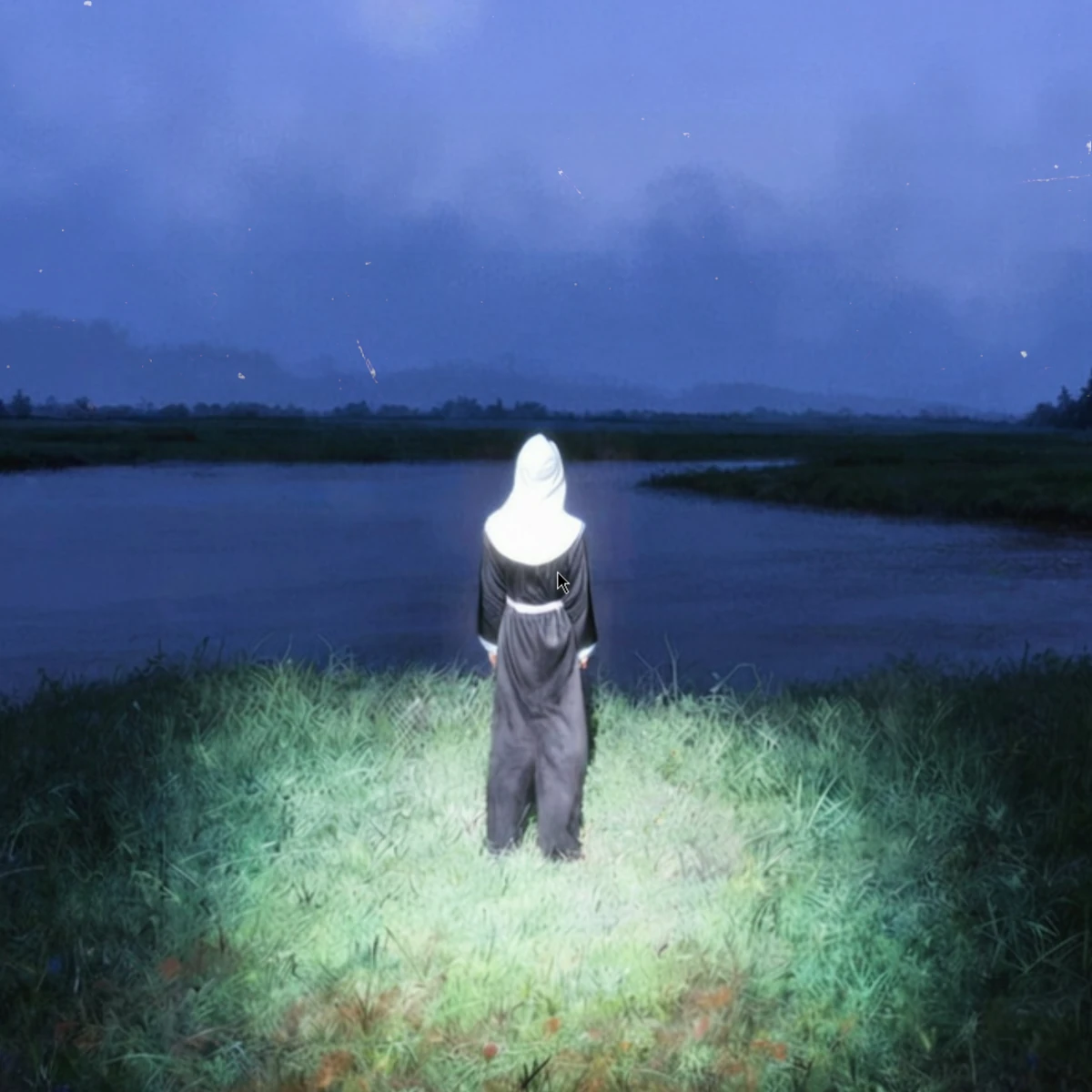 PLEDGE OF ALLEGIANCE! | TMNG Comp Universe Wiki | Fandom