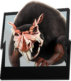 Giant Rats/Gallery | TMNT: Legends Wikia | Fandom