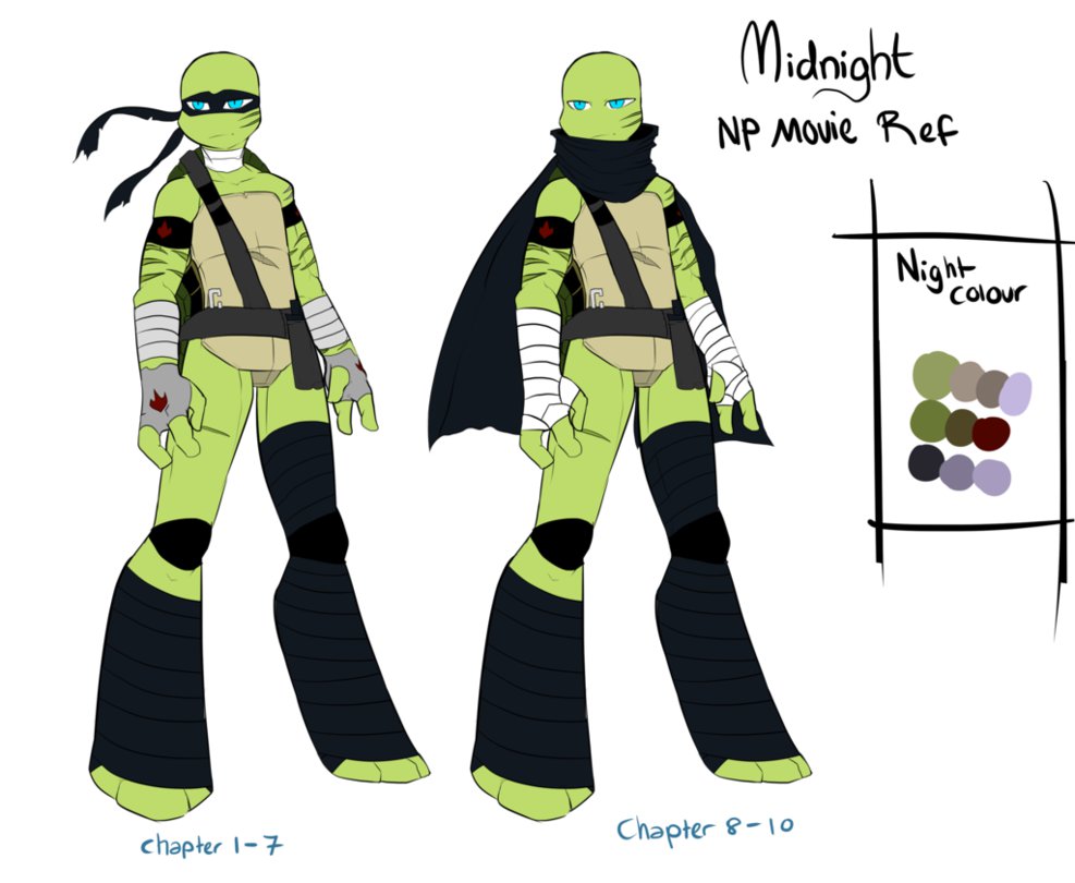 Midnight | TMNT OC Wiki | Fandom