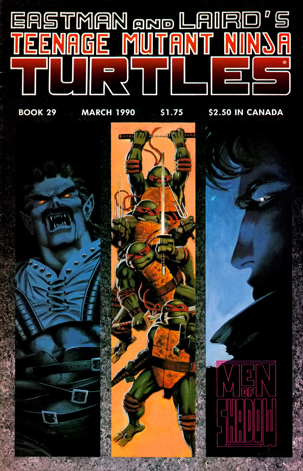 Teenage Mutant Ninja Turtles nr 29 (Mirage) | Tmnt polska Wiki | Fandom
