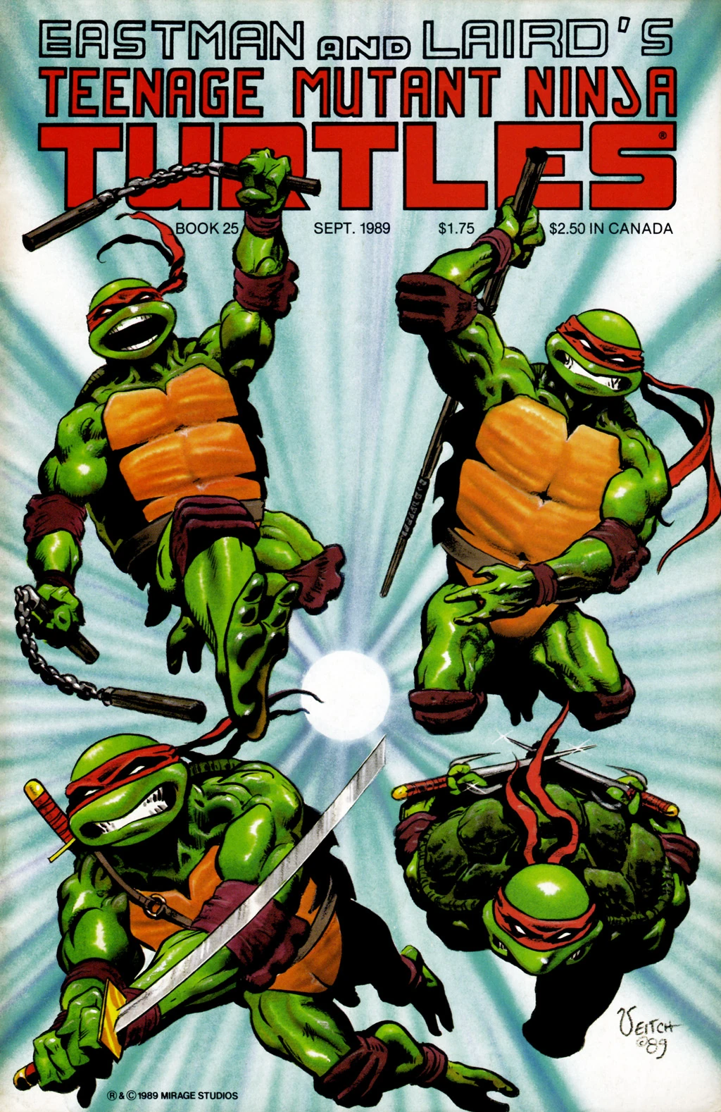 Teenage Mutant Ninja Turtles nr 25 (Mirage) | Tmnt polska Wiki | Fandom