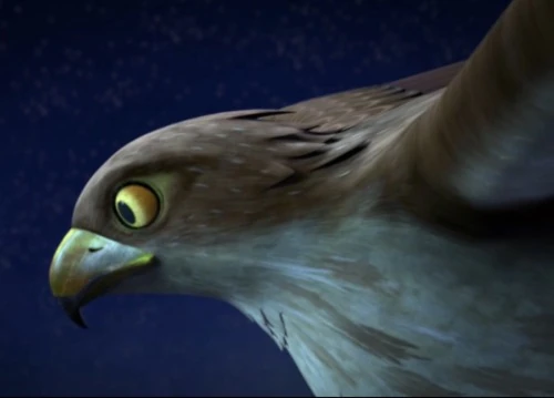 Chimera/Galeria | Tmnt polska Wiki | Fandom