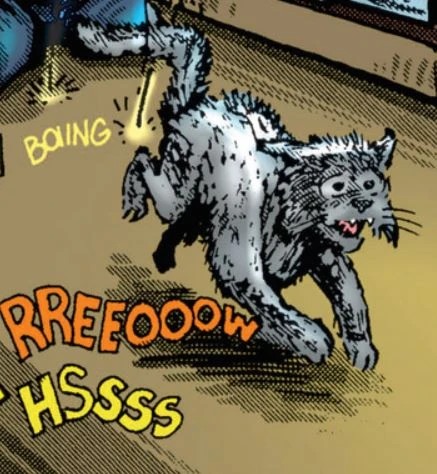 Klunk (Mirage) | Tmnt polska Wiki | Fandom