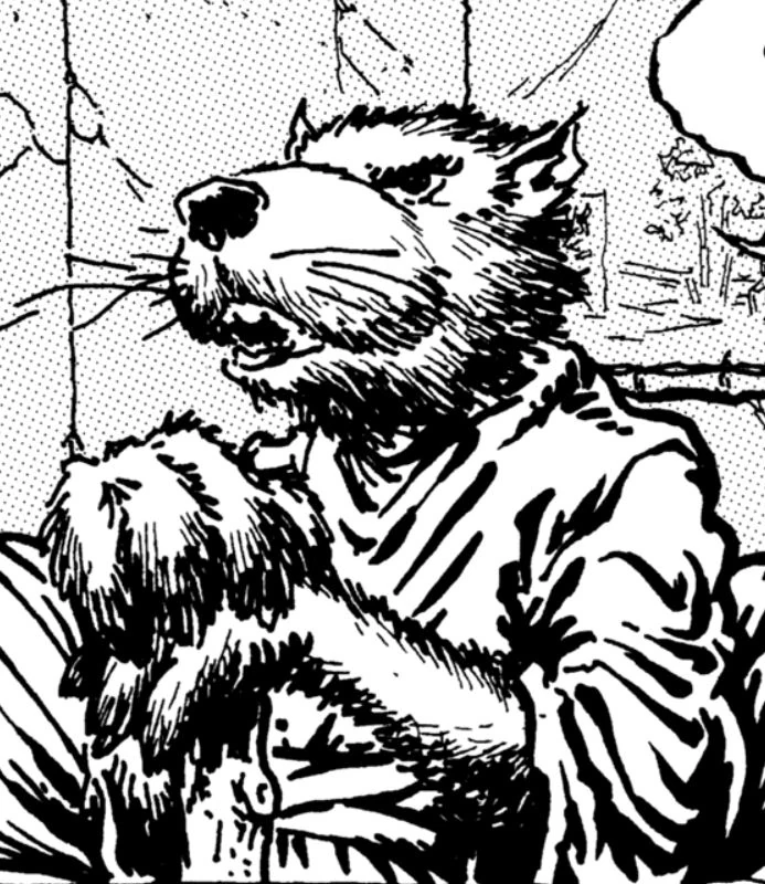 Splinter (Mirage) | Tmnt polska Wiki | Fandom