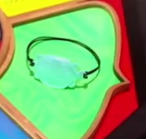 Turtle Miraculous | TMNT X Pokemon Wiki | Fandom