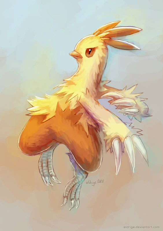Combusken Pokemon Evolution