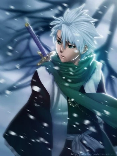 Toshiro Hitsugaya Timeskip