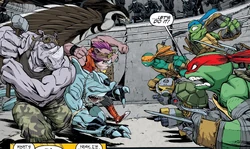 Koya (IDW)/Gallery | TMNTPedia | Fandom