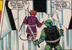 Dynamic Duo!/Gallery | TMNTPedia | Fandom