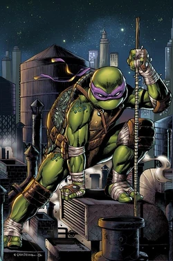 Donatello (IDW) | TMNTPedia | Fandom