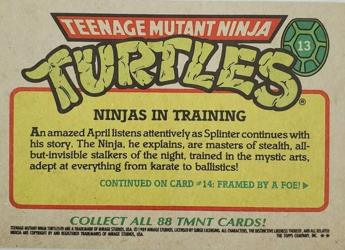 Ninjas in Training | TMNTPedia | Fandom