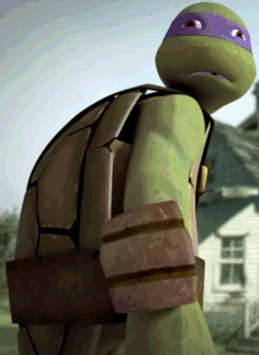 Vision Quest/Animations | TMNTPedia | Fandom