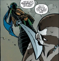 Koya (IDW)/Gallery | TMNTPedia | Fandom