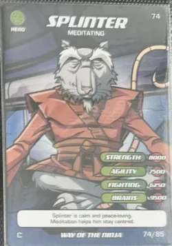 Splinter, Meditating | TMNTPedia | Fandom