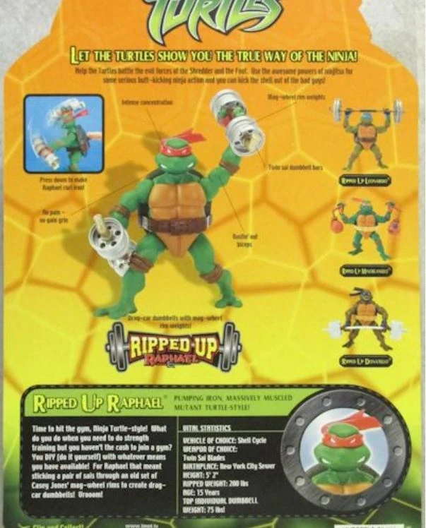 Ripped-Up Raphael | TMNTPedia | Fandom