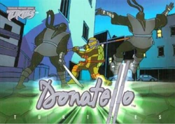 Donatello Weapon: Bo | TMNTPedia | Fandom