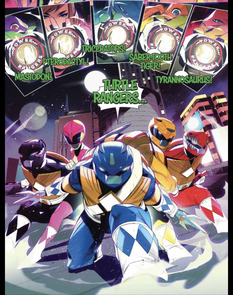 Turtle Rangers | TMNTPedia | Fandom