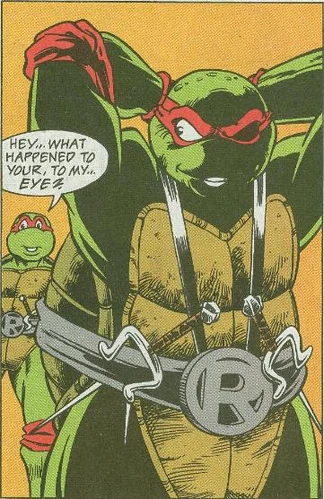 Raphael (future) (Archie) | TMNTPedia | Fandom