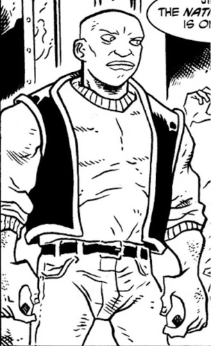 Jingo (Mirage) | TMNTPedia | Fandom