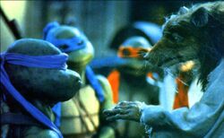 Splinter (1990 film series)/Gallery | TMNTPedia | Fandom