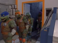 Michaelangelo (clone) (The Next Mutation)/Gallery | TMNTPedia | Fandom