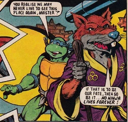 Dynamic Duo!/Gallery | TMNTPedia | Fandom