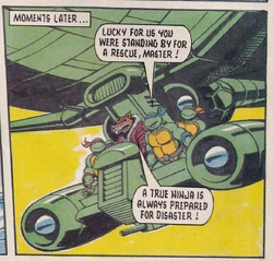 Viking Turtles/Gallery | TMNTPedia | Fandom