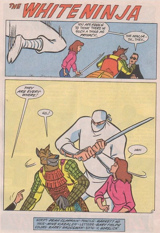 The White Ninja | TMNTPedia | Fandom