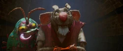Splinter (Point Grey)/Gallery | TMNTPedia | Fandom