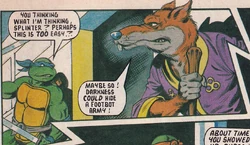 Dynamic Duo!/Gallery | TMNTPedia | Fandom