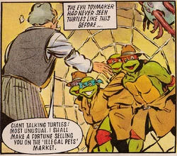 Toy Boy Turtles/Gallery | TMNTPedia | Fandom
