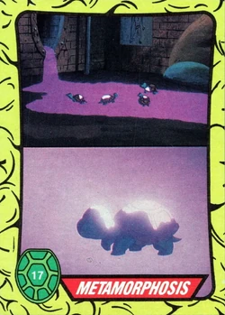 Metamorphosis (1989 trading card) | TMNTPedia | Fandom