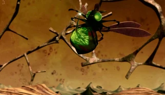 Xaxx Bees | TMNTPedia | Fandom