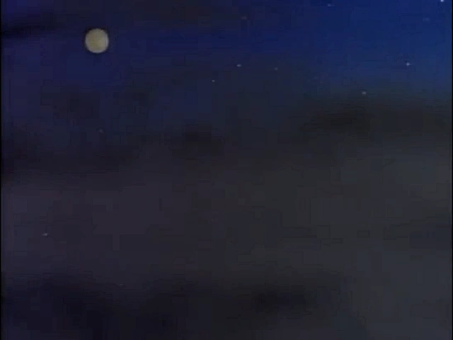 Turtle Tracks (1987 TV series)/Gallery | TMNTPedia | Fandom