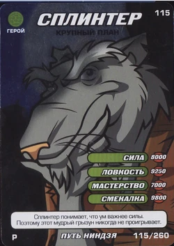 Splinter, close-up | TMNTPedia | Fandom