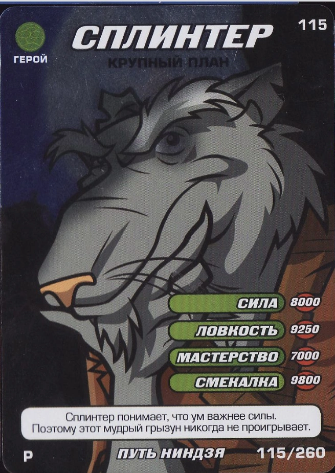 Splinter, close-up | TMNTPedia | Fandom