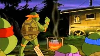 Romani people | TMNTPedia | Fandom