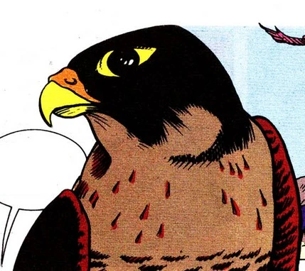 Talyn | Teenage Mutant Ninja Turtles Wiki | Fandom