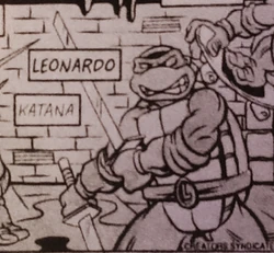Katana | TMNTPedia | Fandom