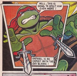 Miss Turtle 1991/Gallery | TMNTPedia | Fandom